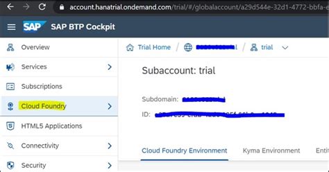 Sap Hana Cloud Connect To Hana Cockpit