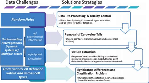 Statistical Framework Diagram Sequential Steps To Process And Analyze Download Scientific
