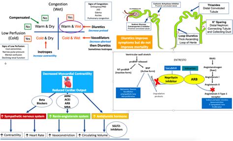 12 Treatment Of Hf Diagram Quizlet 12 Treatment Of Hf Diagram Quizlet