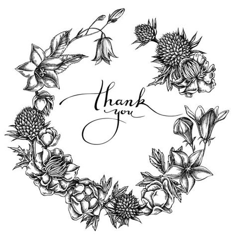 금매화속 이미지 스톡 사진 및 일러스트 Istock