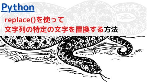 Python 文字列stringの先頭に文字を追加するadd Characters To String At Beginningには？ ちょげぶろぐ