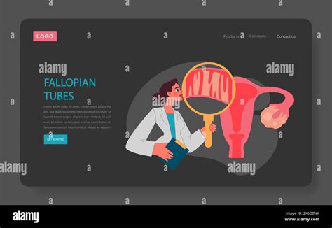 Fallopian Tubes Dark Or Night Mode Web Landing Doctor Examining Fallopian Tubes Using
