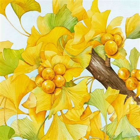 Mina Park 미나뜨 On Instagram 💛 가을은 다 즐기기도 전에 아쉽게도 짧기만 하네요 더 추워지기 전에 알록달록 가을의 색과 정취 많이 담아봐야겠어요 감기