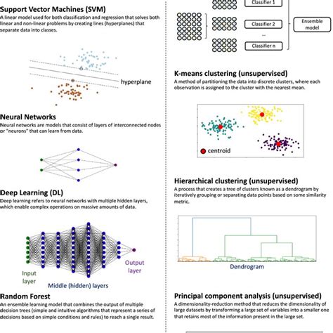 Overview Of Commonly Used Algorithms In Medical Machine Learning