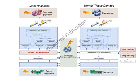 Adaptive Proton Therapy