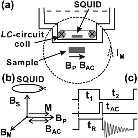Measurement Arrangement And Pulse Sequence Of The Experiment A