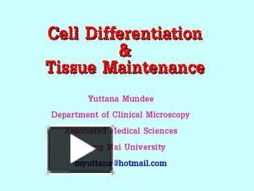 Cell Differentiation Presentation Free To View