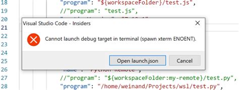 Debugging With External Terminal Does Not Work · Issue 381 · Microsoft