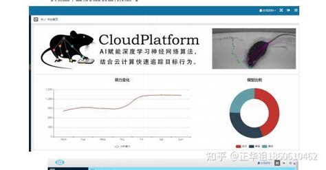 多功能整合型精细行为识别分析系统 知乎