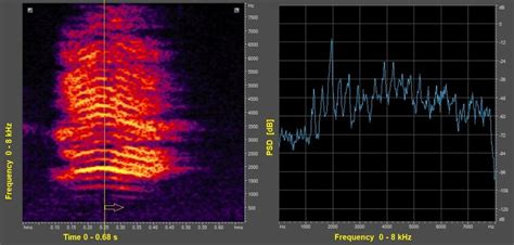 Spectrogram And Time Display Of One Of The Eurasian Jay Calls