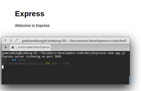 Nodejsexpressjs Tutorial Cara Install Framework Expressjs Maclinux Ng`blog Biar Gak