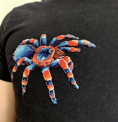 Паук крестиком | Пикабу