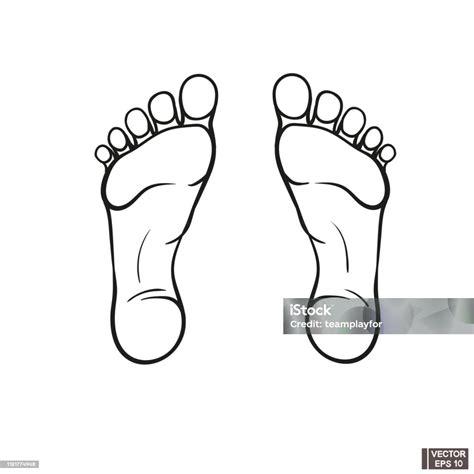 왼쪽 및 오른쪽 인간의 발바닥 윤곽선 아이콘 다리 신체 부분에 대한 스톡 벡터 아트 및 기타 이미지 다리 신체 부분 디자인