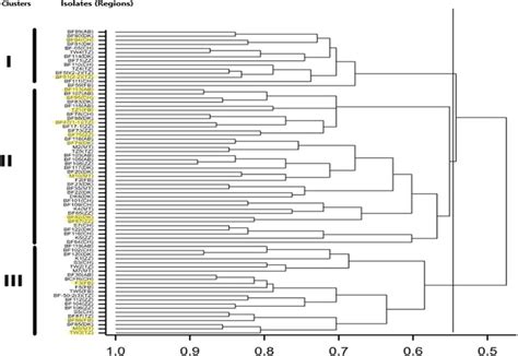 Unweighted Pair Group Method With Arithmetic Average Upgma Cluster