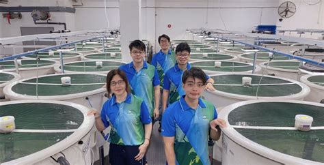 Jiun Yan Loh Ph D P Tech On Linkedin Jcus Sustainableaquaculture