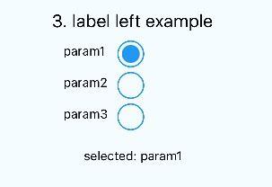 Space Between Button And Label Issue Moschan React Native Simple Radio Button Github