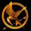 The Ultimate Hunger Games Tumblr Com Tumbex