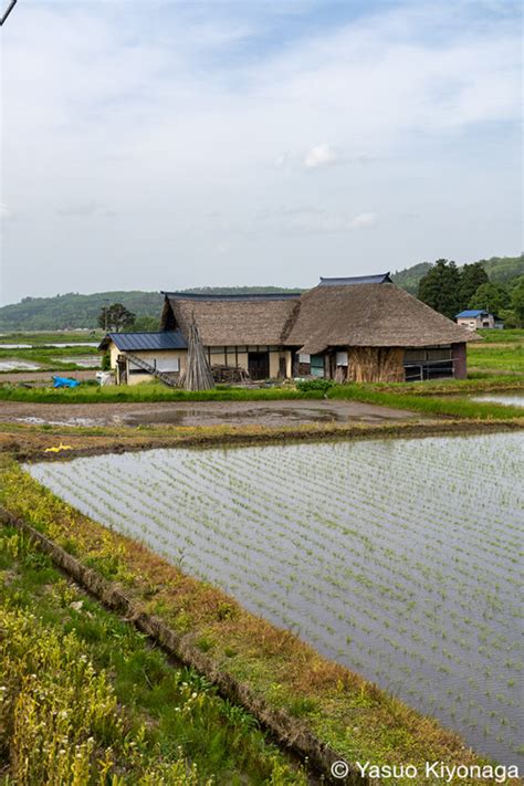 山形県東置賜郡川西町玉庭07UnoFOTO 京都写真美術館