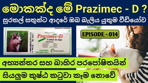 මොකක්ද මේ Prazimec D මේකට සුනඛයන්ගේ රෑශ් හොඳ වෙනවද Youtube