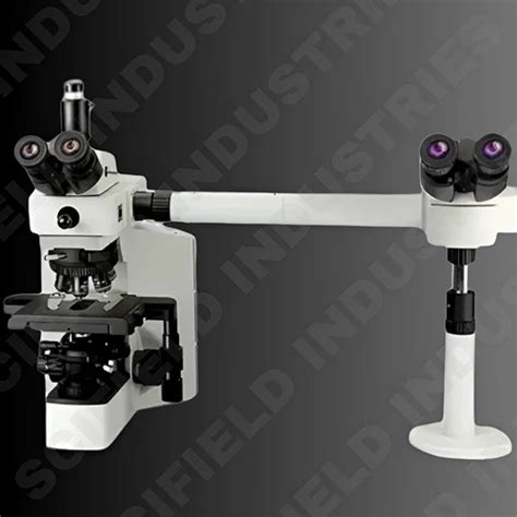 Dual Head Microscope At ₹ 195677 Piece ड्यूल हेड माइक्रोस्कोप In Ambala Id 2853967181373
