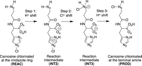 Schematic Representation Of The Intramolecular Rearrangements Involved Download Scientific