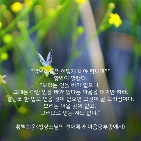 법상스님의 중에서 법상스님글모음