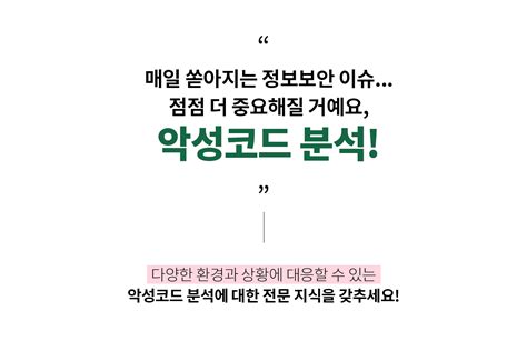 정보보안 시리즈 악성코드 분석 전문가 되기 👨‍💻 로드맵 인프런