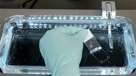 Visium For Ffpe Tissue Preparation Protocol Practicing Section