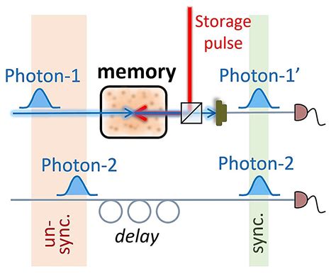 from the weizmann institute of science il via “” “research