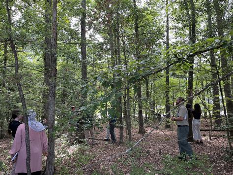 Practicing Tree Identification Capital Trees