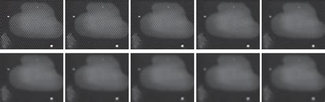 Figure 2 From An Automatic Segmentation Algorithm For High Throughput