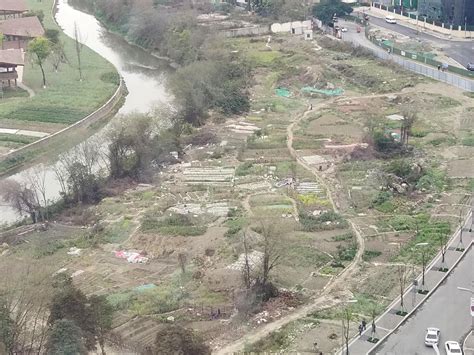 河边绿道建设 群众呼声麻辣问政 四川省网上群众工作平台 成都市委书记