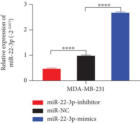 Mir 22 3p Suppressed Cell Proliferation Of Bc Cells A B Expression