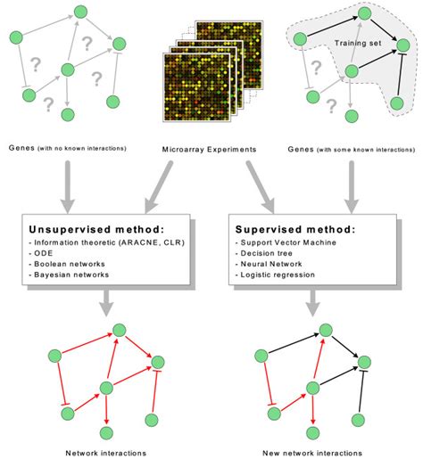 Supervised Vs Unsupervised Approaches In The Identification Of