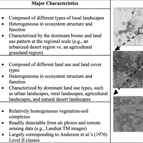Illustration Of Hierarchical Scaling Or Extrapolating Information Along Download Scientific