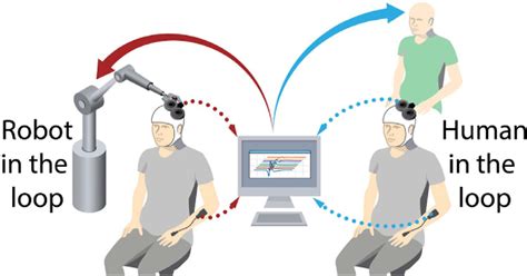 Figure 1 From Efficient Tms Based Motor Cortex Mapping Using Gaussian Process Active Learning