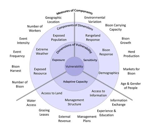1 Vulnerability Scoping Diagram Of Coupled Natural Human System Of Download Scientific Diagram