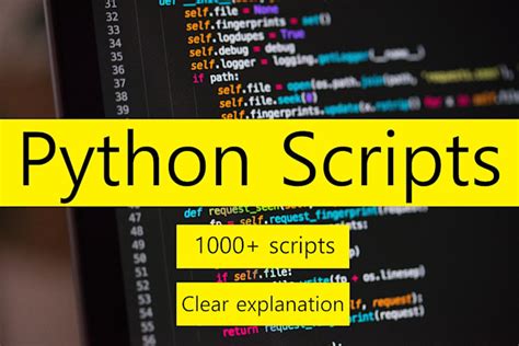 Write Python Scripts And Explain Them By Eviloper Fiverr