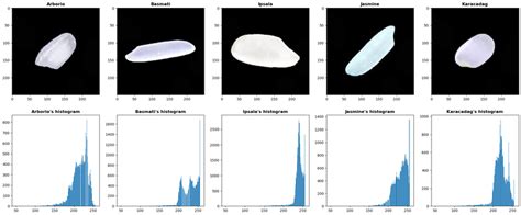 Visualization Of Datasets 1 Top Horizontal Images Show The Type Of