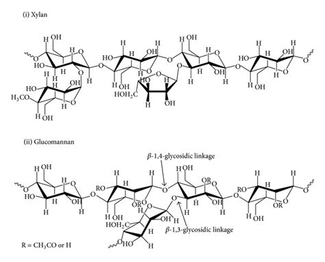 Chemical Structure Of Hemicellulose Compounds Xylan And Glucomannan Are The Most Existing