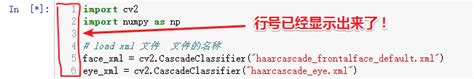 jupyter notebook 代码编辑界面显示行号 jupyter 显示序号 csdn博客