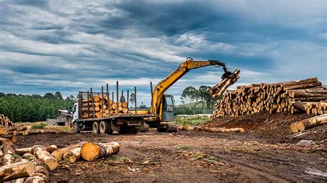 بررسی پیامدهای جنگل زدایی در زاگرس بلاگ دیوار