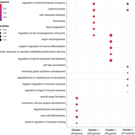 Gene Ontology Term Analysis Gene Ontology Enrichment Was Performed On