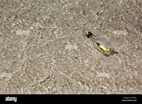 Message In A Bottle Stock Photo Alamy Message In A Bottle Stock Photo Alamy