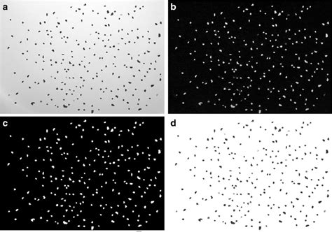 The Steps Of The Binarization Technique For A Terrestrial Sample Grand