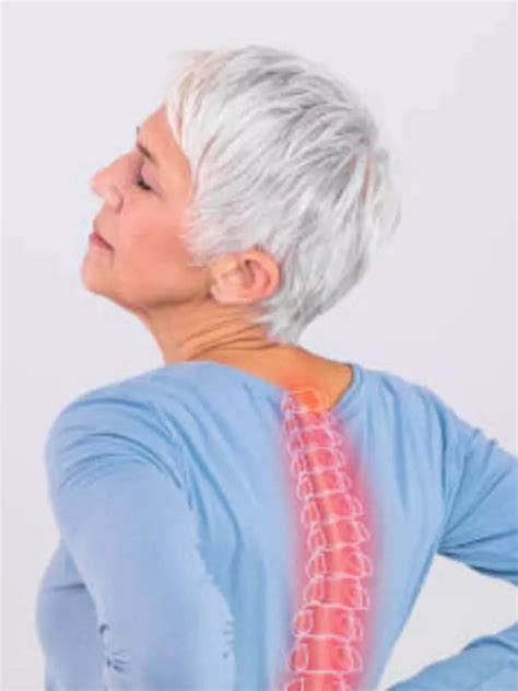 From Exercises To These Foods Ways To Improve Bone Density After Menopause Times Now