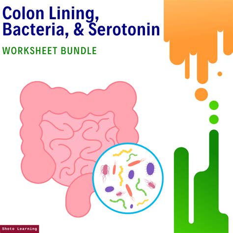 Bacteria And Viruses 7th Grade Science Worksheets And Answer Key