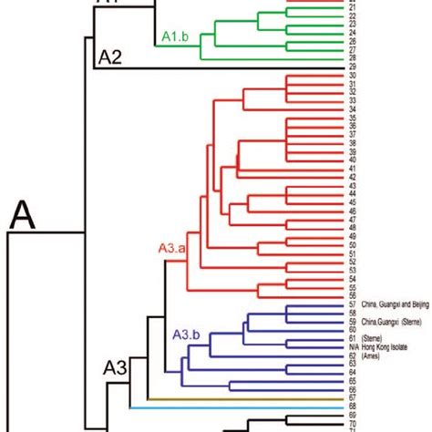 Mlva Based Dendrogram Generated Using Unweighted Pair Group Method