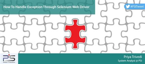 How To Handle Exception Through Selenium Web Driver