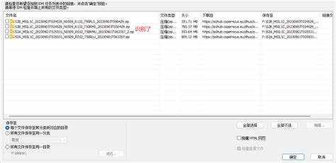 python IDM批量下载Sentinel 心随天地走 意被牛羊牵